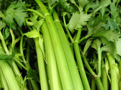 Celery Simple Syrup Recipe for Cocktails - Thrillist