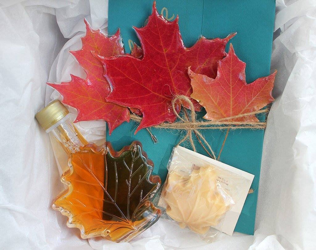 Fall Foliage 2017: You Can Have Leaves Shipped to You - Thrillist