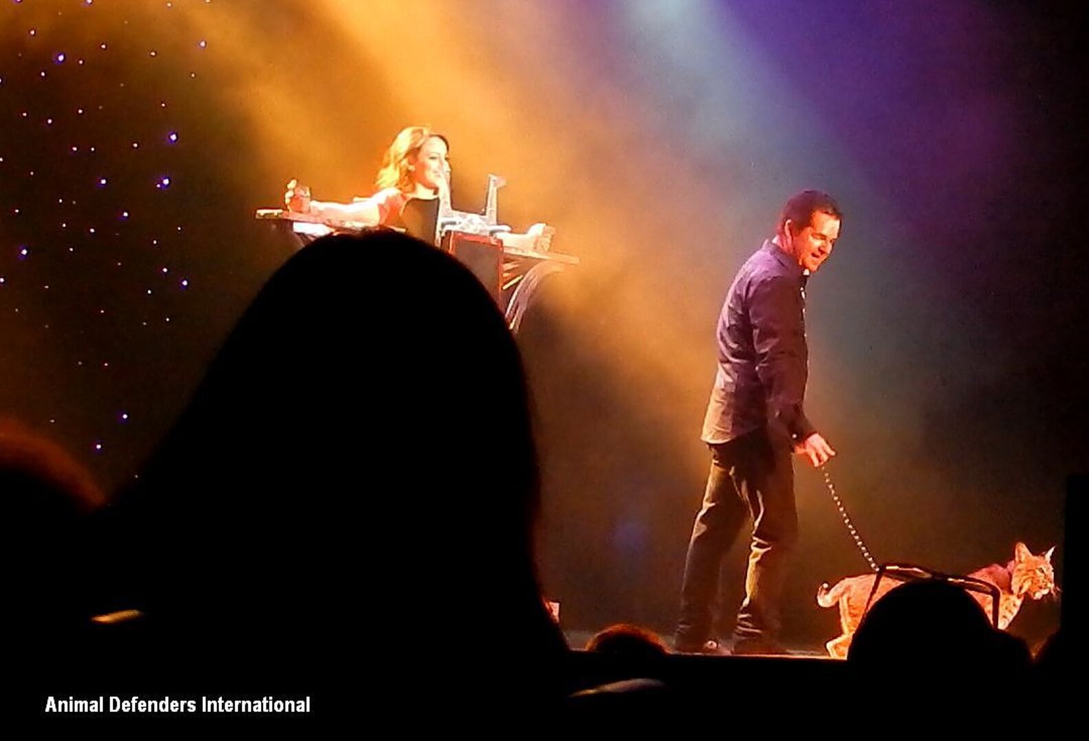 Controversial Dirk Arthur Exotic Animal Show Is Returning To Las Vegas ...