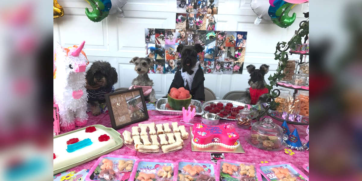 Woman Plans Elaborate Birthday Party For Dog, Invites All Her Friends ...