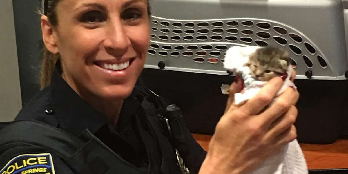 Cop Keeps Fostering All The Abandoned Kittens She Finds On Her Shifts ...
