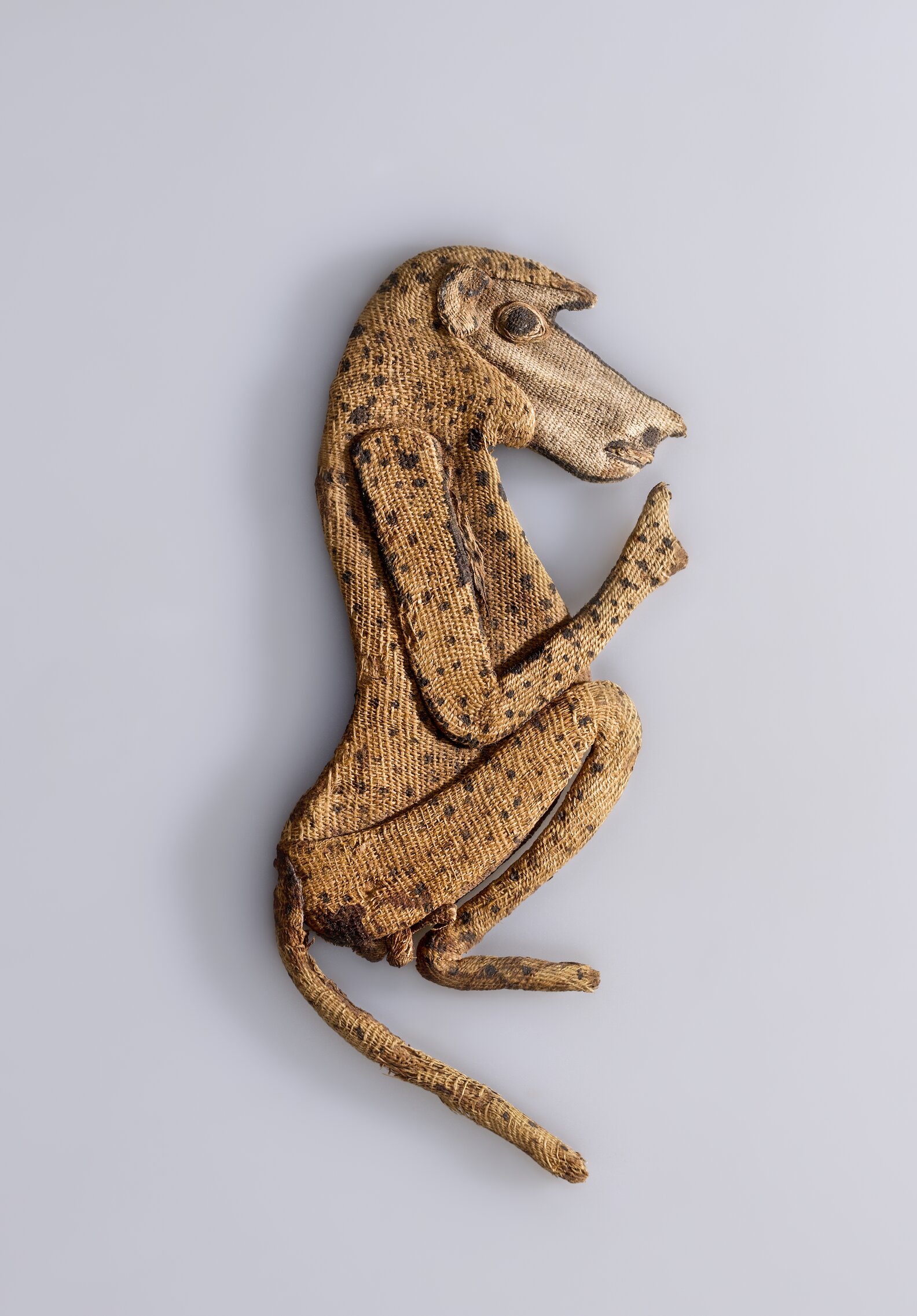 Ancient Pets: Egyptian Animal Mummies On Display At Brooklyn Museum ...