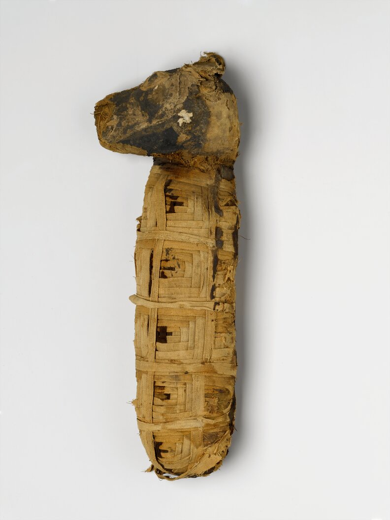 Ancient Pets: Egyptian Animal Mummies On Display At Brooklyn Museum ...