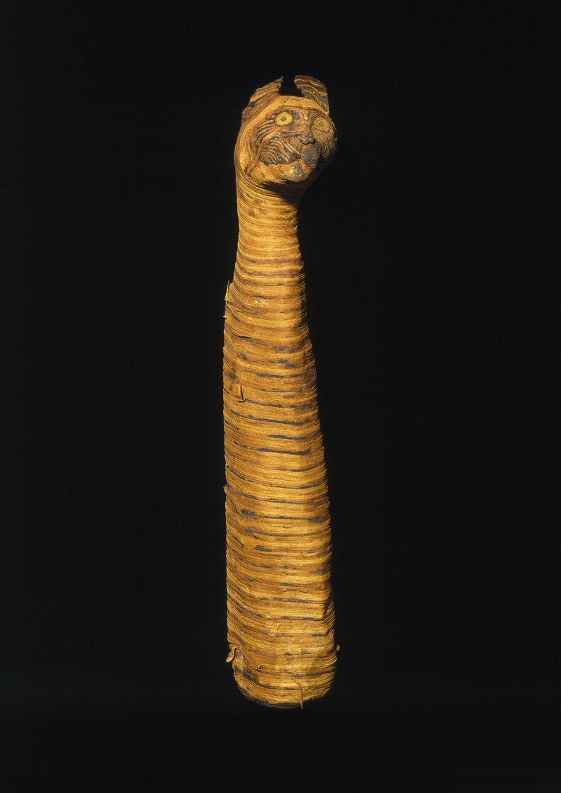 Ancient Pets: Egyptian Animal Mummies On Display At Brooklyn Museum ...