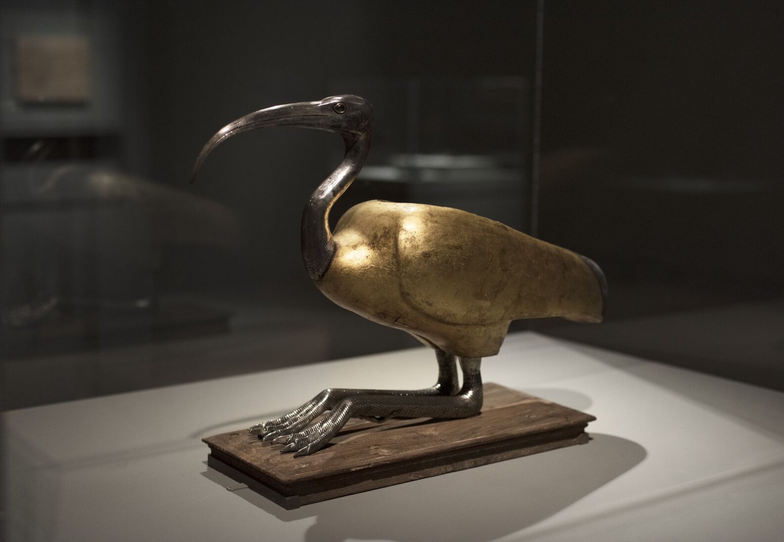 Ancient Pets: Egyptian Animal Mummies On Display At Brooklyn Museum ...