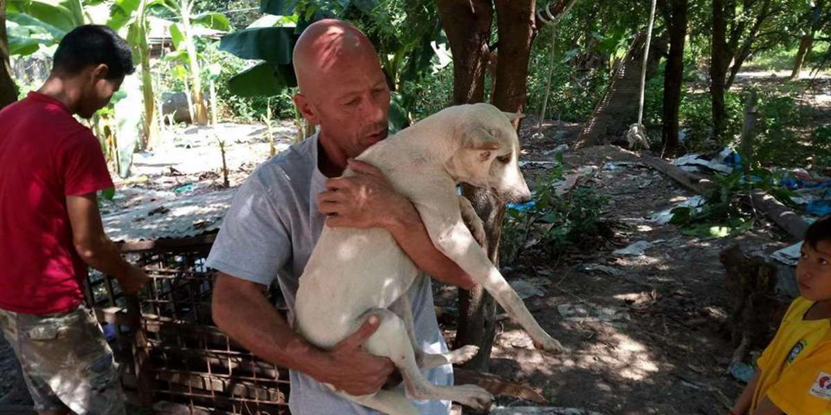 Man Saves Dog From Being Made Into Soup At Dog Meat Restaurant - The Dodo