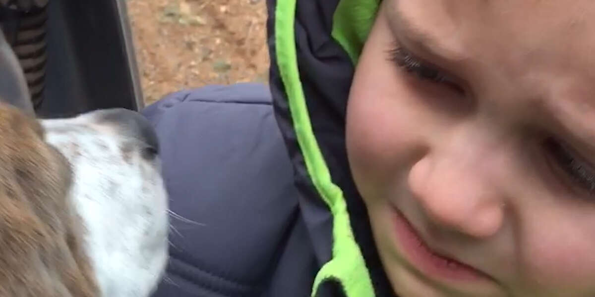 Boy Reunites With His Lost Dog - Videos - The Dodo