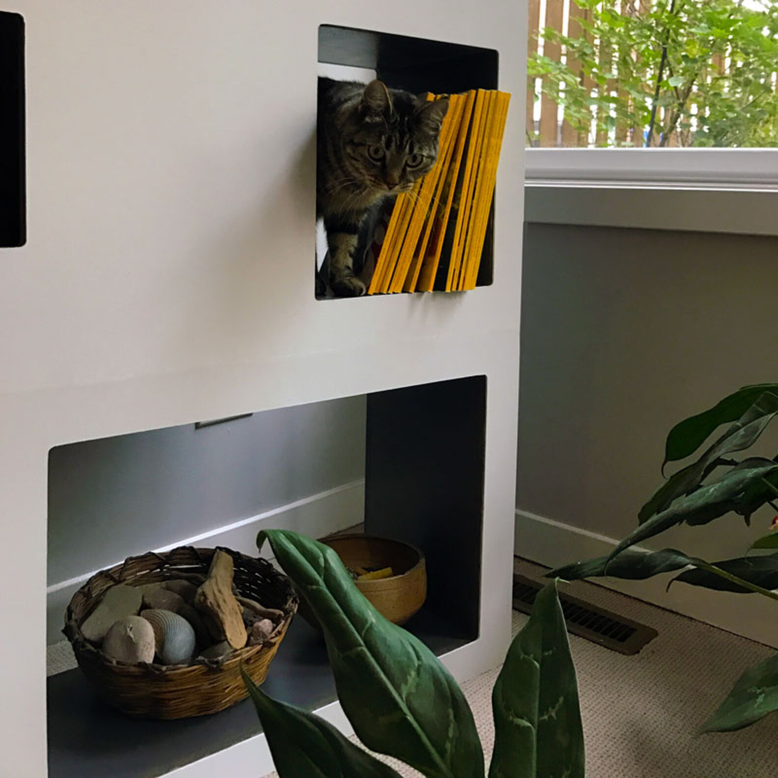 Man Invents Special Bookcase For His Cat - The Dodo