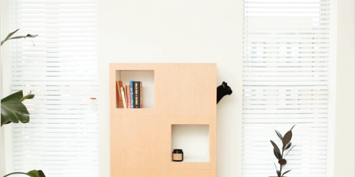 Man Invents Special Bookcase For His Cat - The Dodo