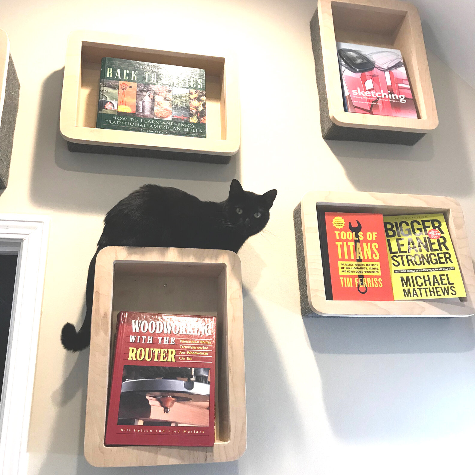 Man Invents Special Bookcase For His Cat - The Dodo