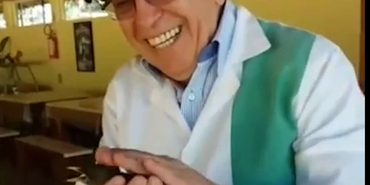 Doctor Gives Bird CPR And Brings Him Back To Life - Videos - The Dodo