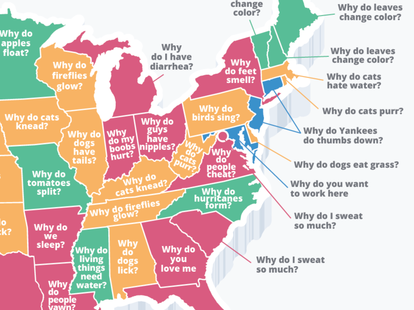 Most Googled 'Why Do' Questions by State Shown on Map - Thrillist