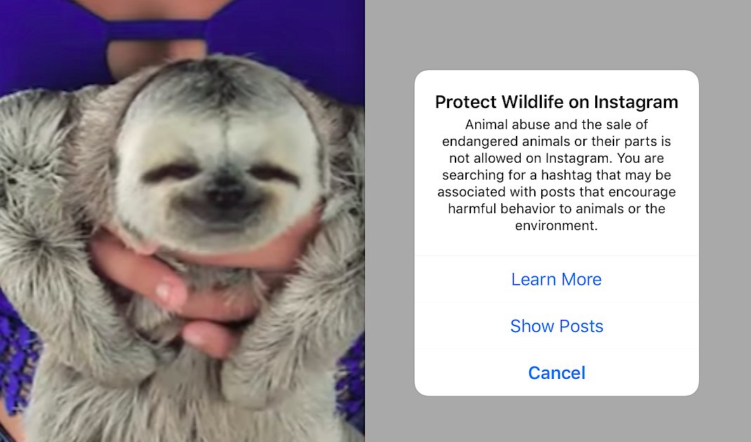 Instagram's Animal Abuse Alert System Raises Awareness For Wildlife ...