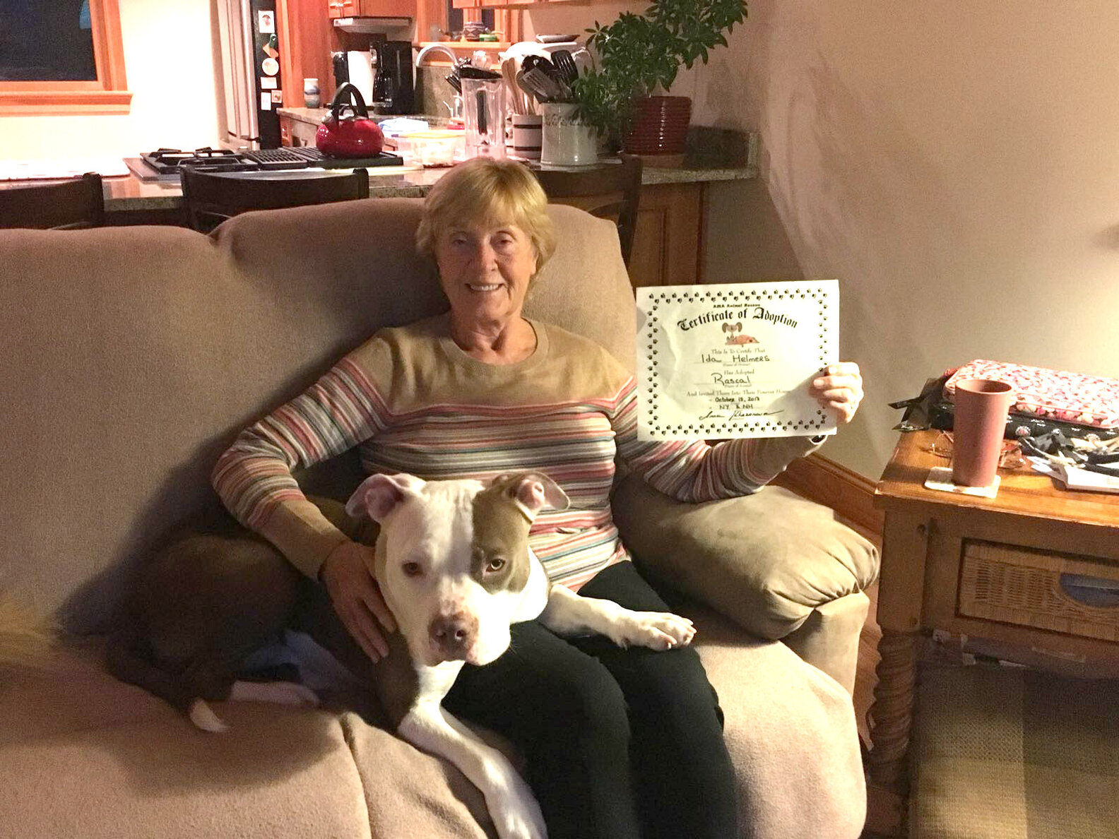 Emaciated Pit Bull From New York City Makes Amazing Transformation ...