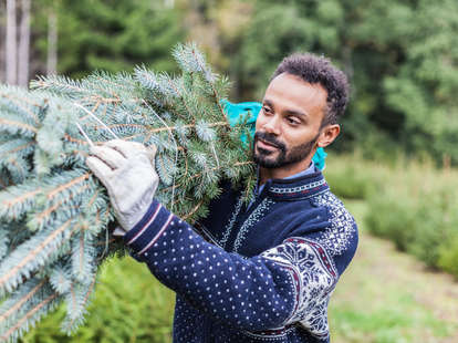 How to Keep Your Christmas Tree Alive: Preserve & Care for Your Tree ...