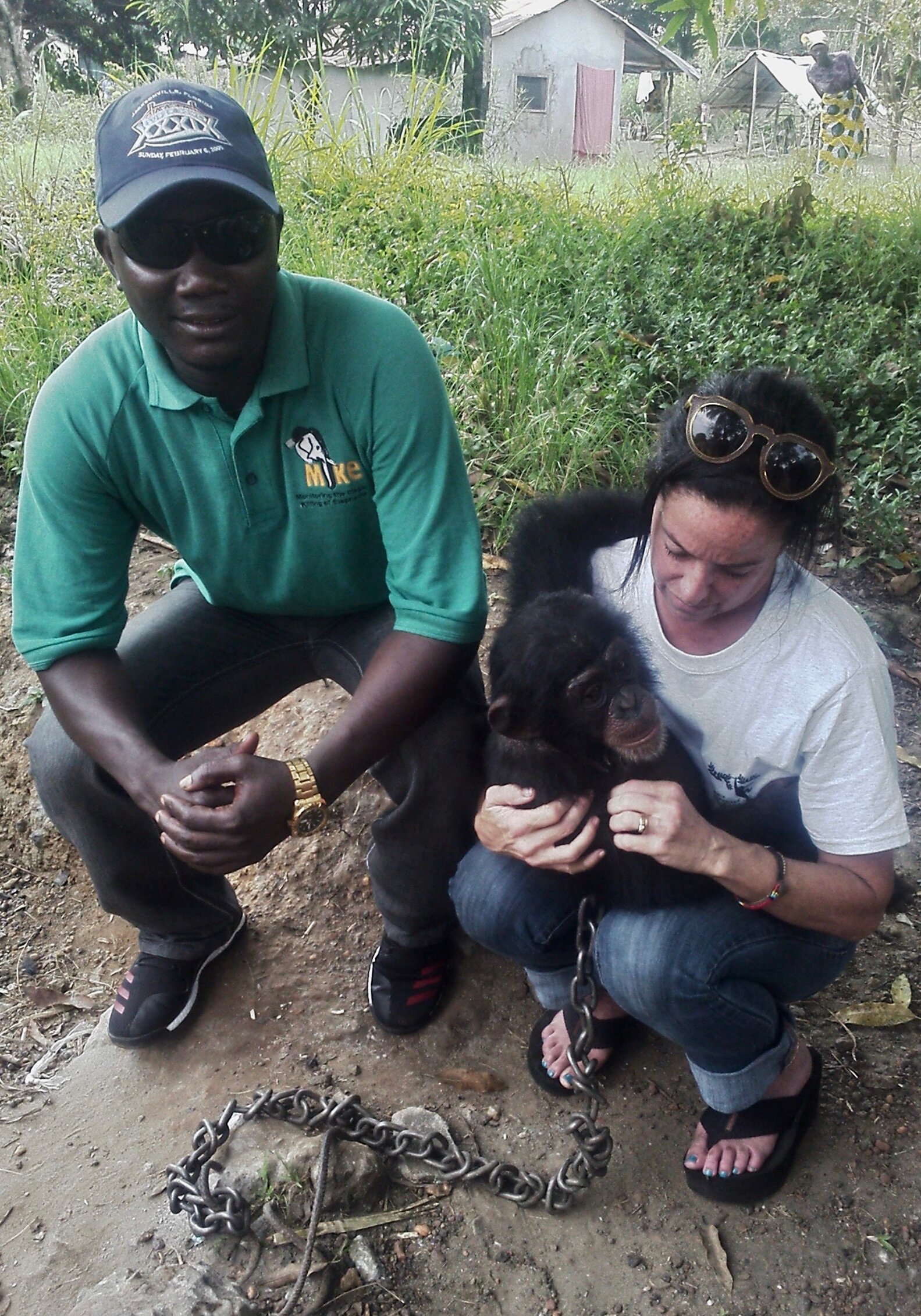 Orphaned Baby Chimp So Relieved To Have Chain Removed From Her Neck ...