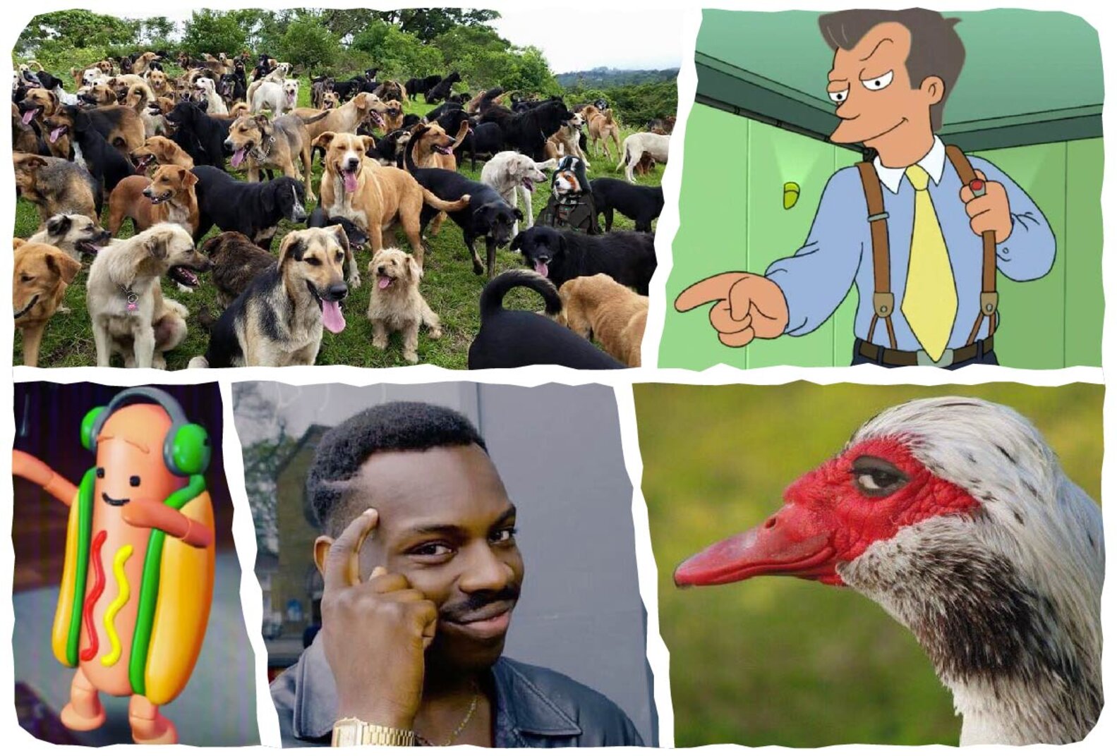 Best Memes of 2017, Ranked - Thrillist