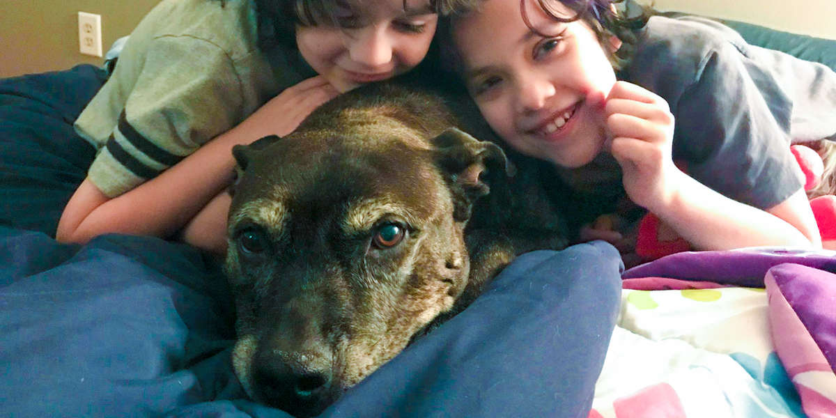 Little Kid Adopts Oldest Dog In Maryland Shelter - The Dodo