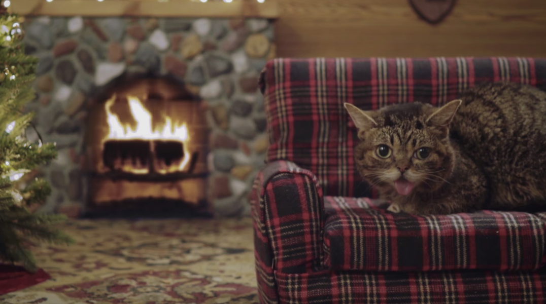 Best Yule Log Videos to Watch This Holiday Season - Thrillist