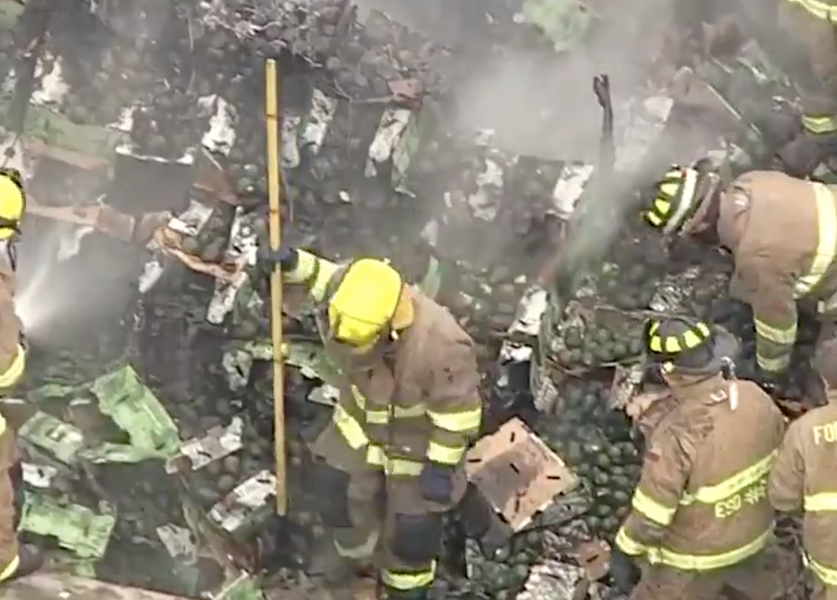 Crash Spills 40,000 Pounds of Avocado onto Texas Highway - Thrillist