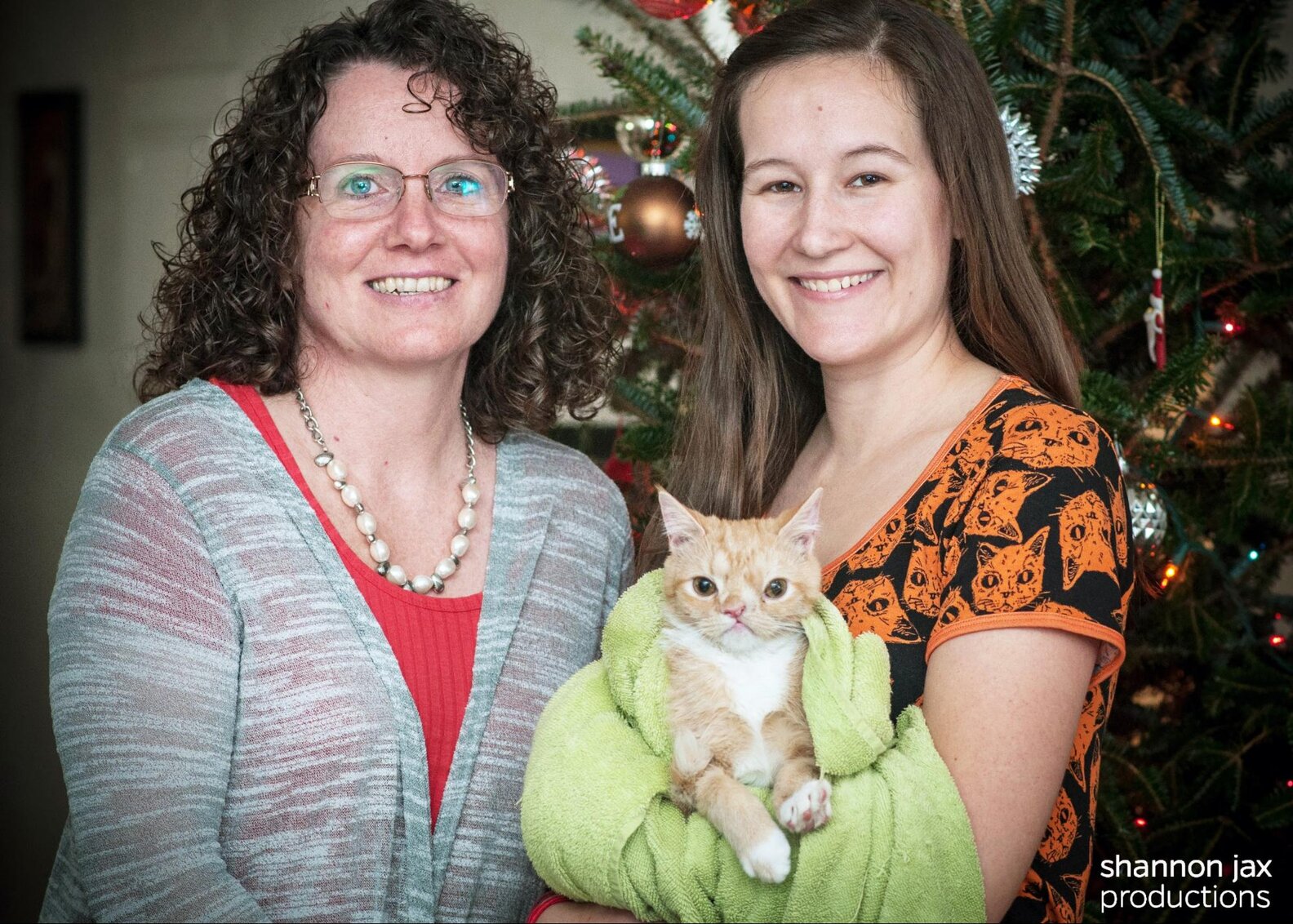 Cat With Cutest Smushed Face Loves Getting Into Trouble - The Dodo