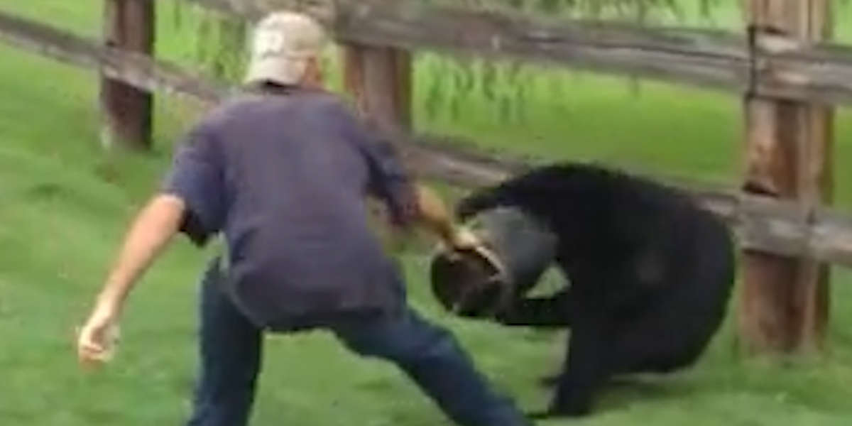 Group Of Friends Saves Bear With Bucket Stuck On His Head - Videos ...
