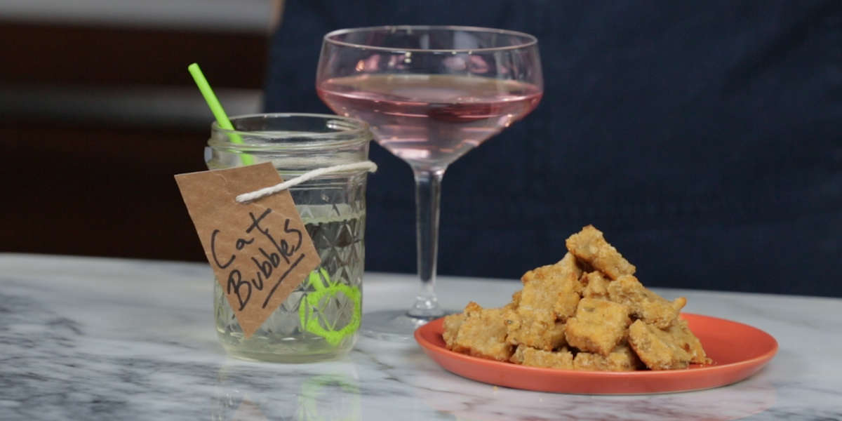 3 Steps To Throwing The Perfect Cat Party - Videos - The Dodo