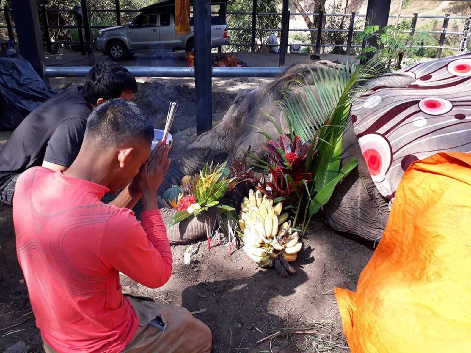People Give Sweetest Goodbye To Elephant Who Spent 60 Years Working ...