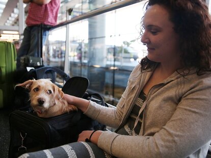Delta Tightens Emotional Support Animal Requirements For All Flights ...