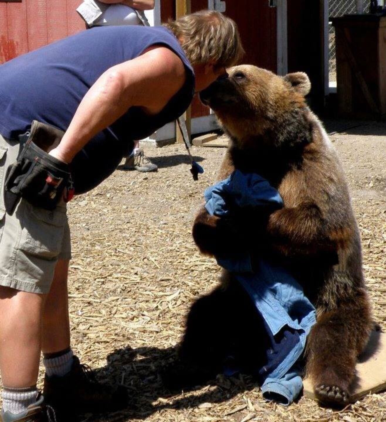 Hollywood Animal Trainer Is Banned From Training Animals For Films ...