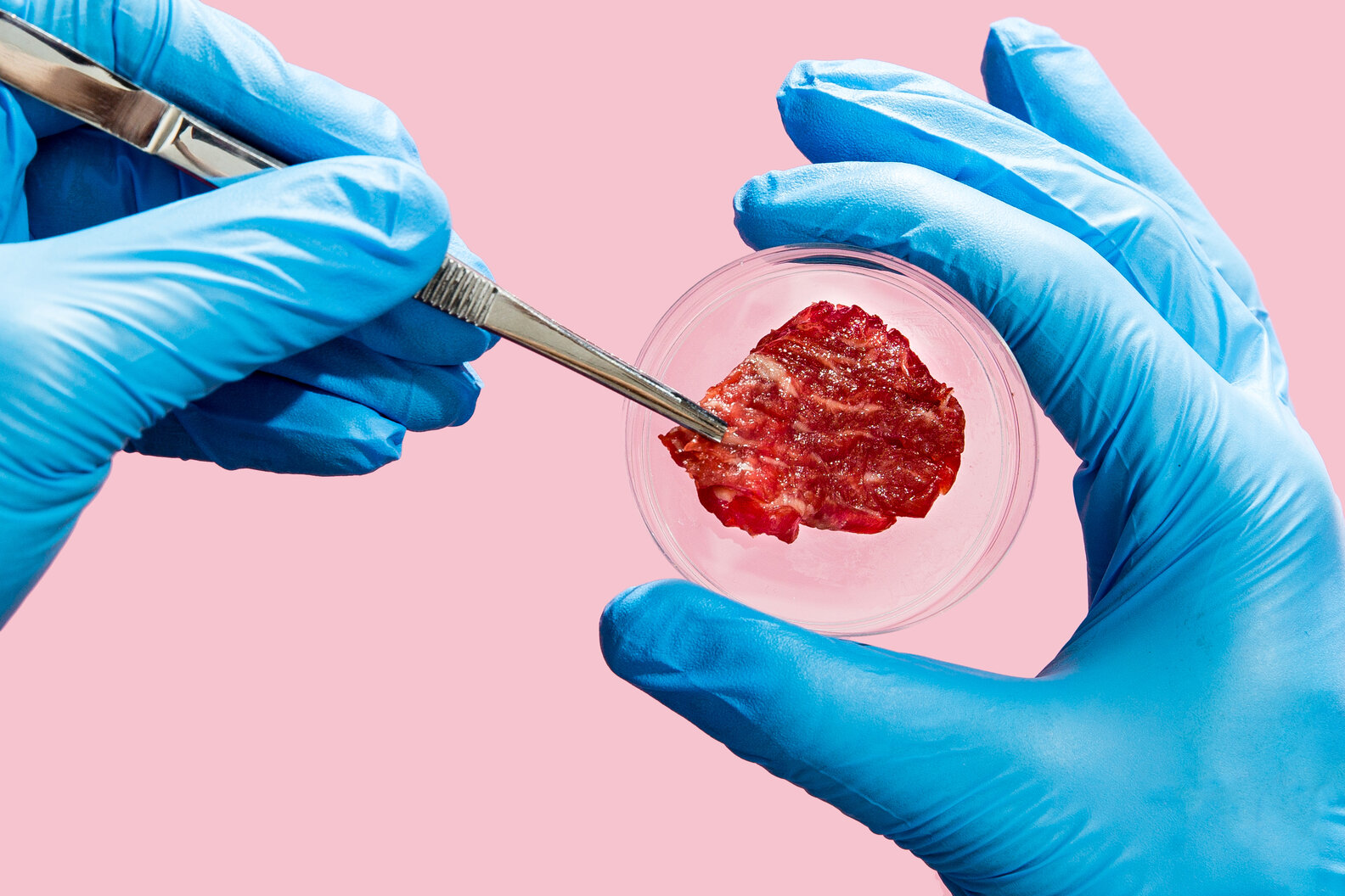 Lab Grown Meat: Is It Vegetarian? - Thrillist
