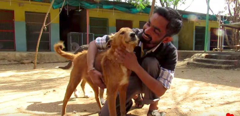 Skinny Street Dog With Broken Jaw Couldn't Move For Days - The Dodo