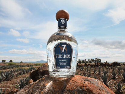 Best Tequilas For People Who Think They Don’t Like Tequila - Thrillist