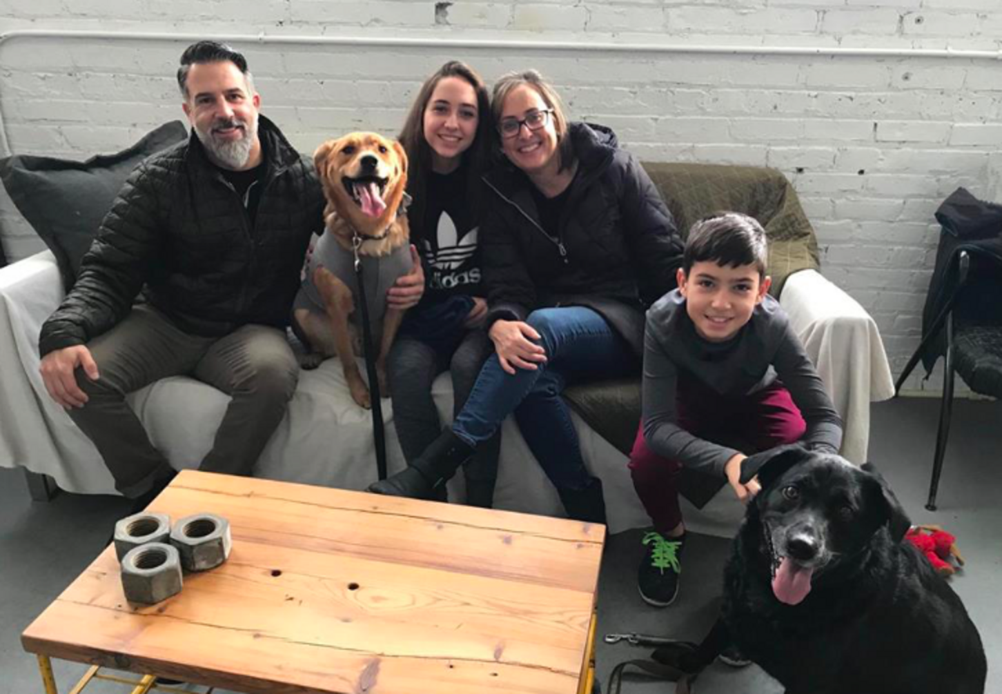 Golden Retriever With Acid Burns Heals With Help From Friends - The Dodo