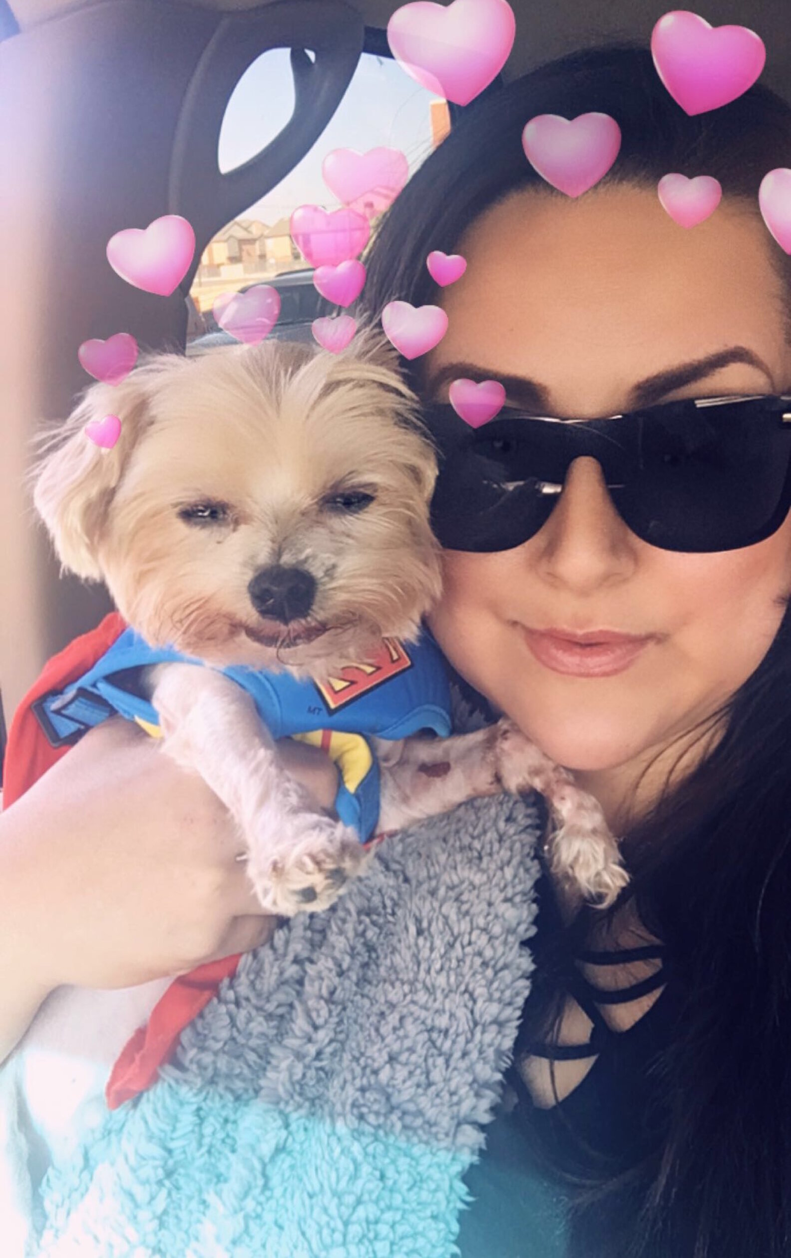 Woman Reunited With Lost Dog 11 Years After He Went Missing - The Dodo
