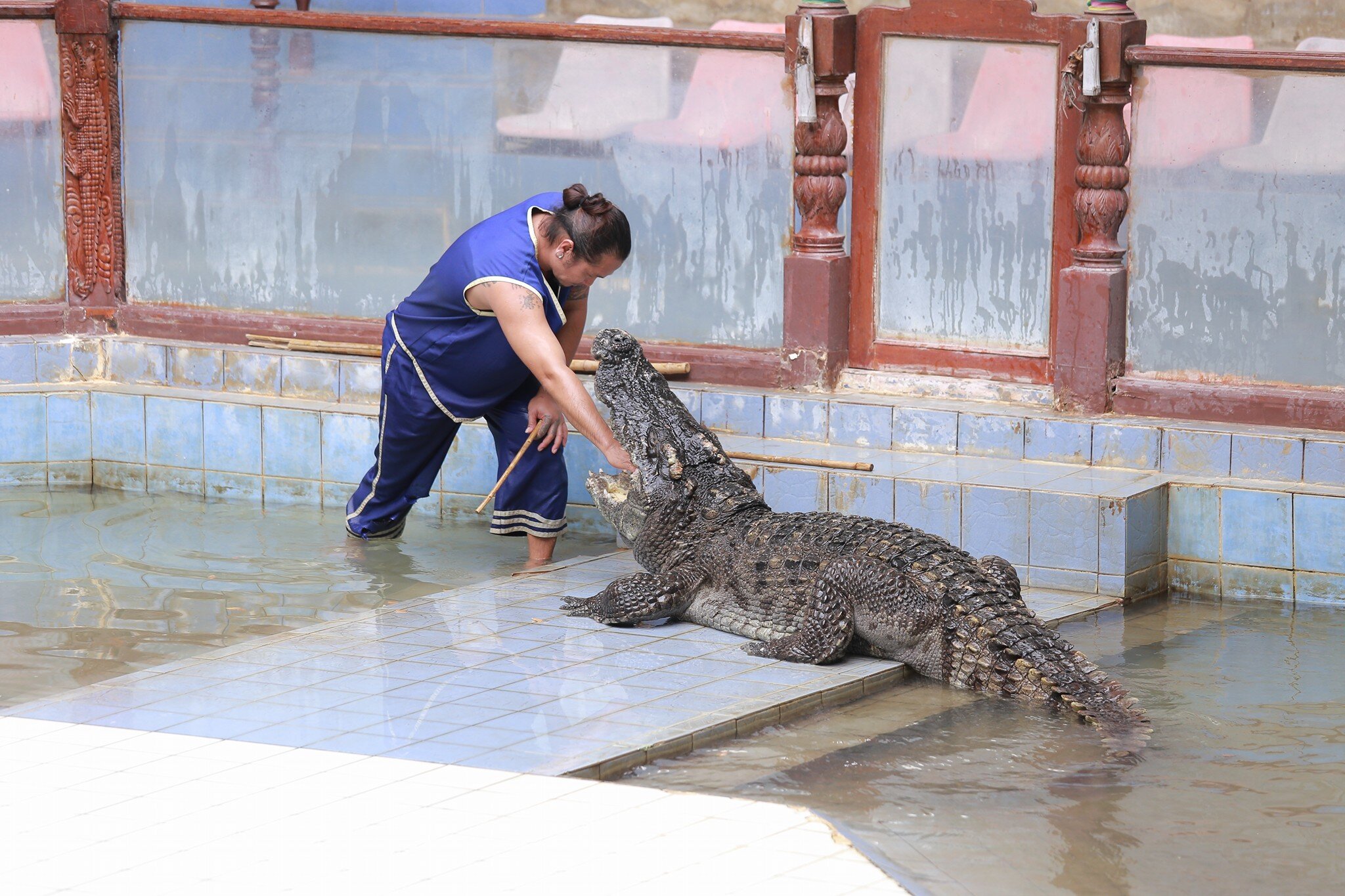 Thailand Zoo Declaws Tigers So Tourists Can Take Selfies With Them ...