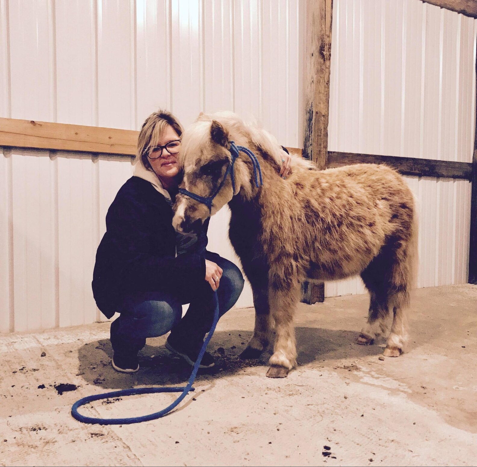 Corgi Caught Riding Neighbor's Miniature Pony At Night - The Dodo