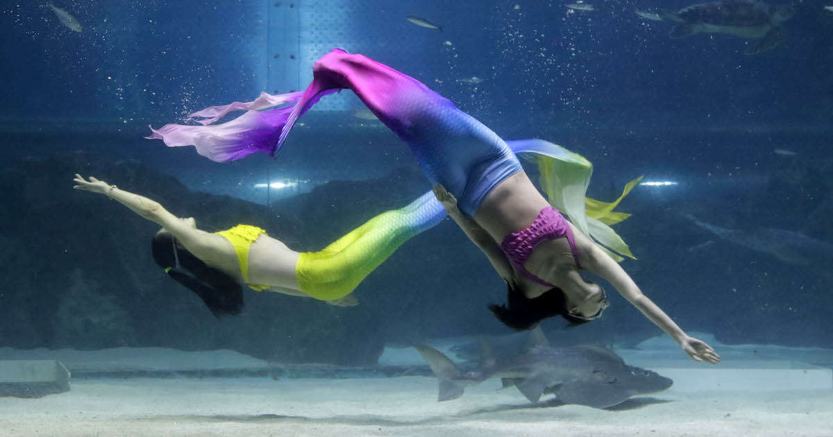 Best Mermaid Shows at Bars in the U.S. - Thrillist