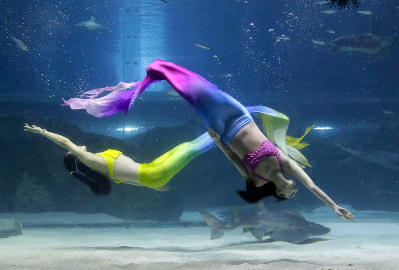 Real Life Mermaids Swimming