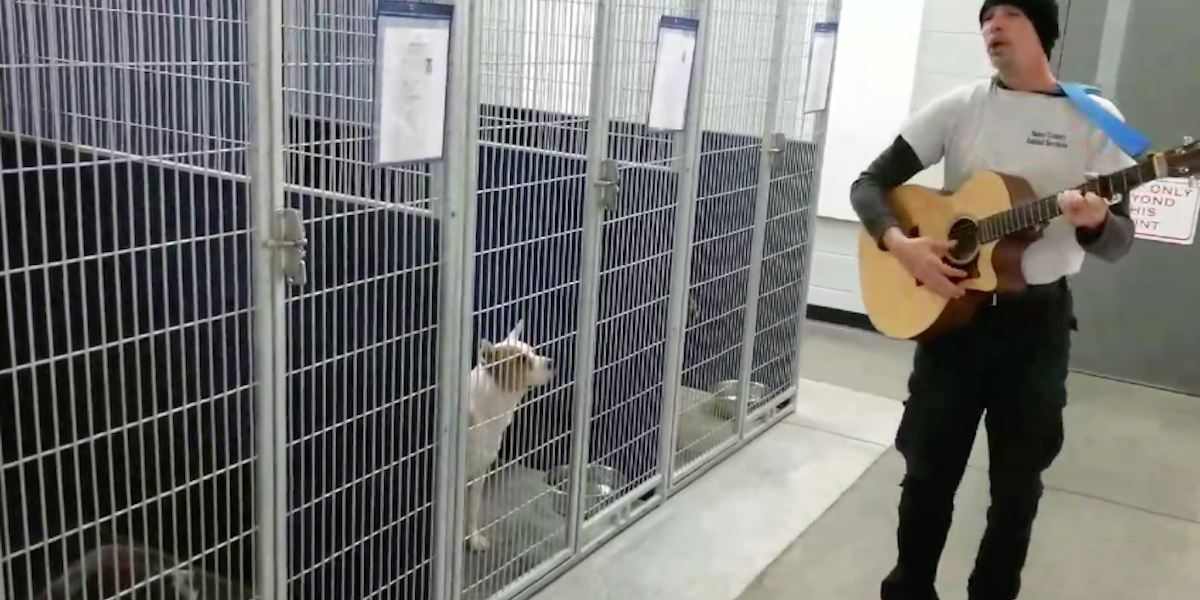 Animal Services Officer Performs Special Concert For Shelter Dogs - The ...