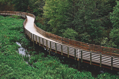 Savor These Georgia Experiences the Locals Love - Thrillist