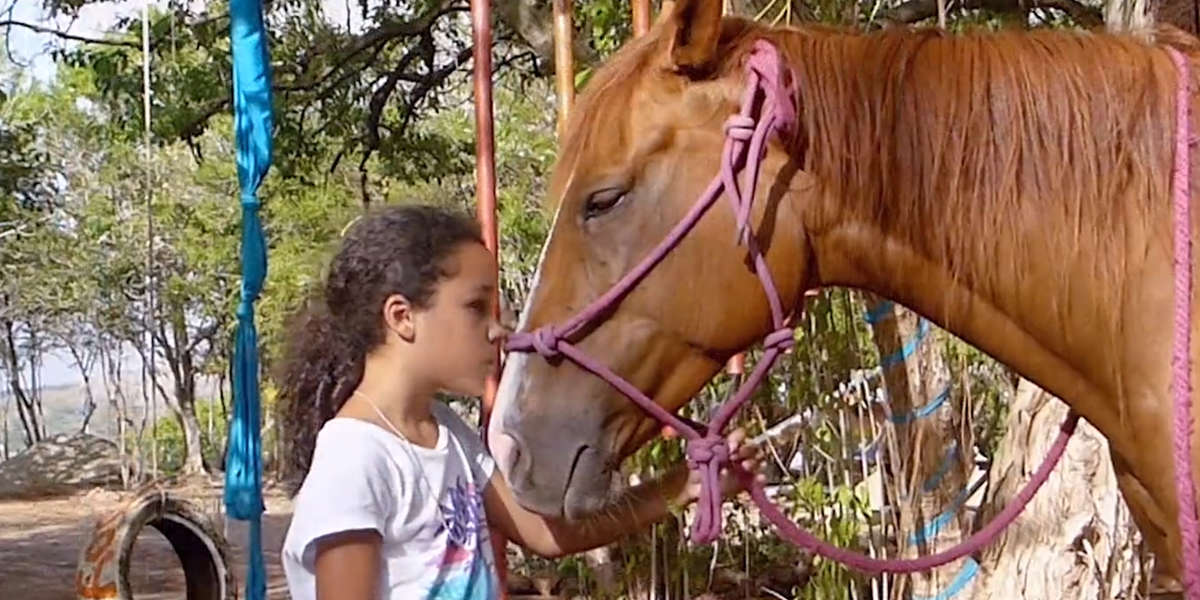 Horse Is Helping To Change These Kids' Lives - Videos - The Dodo