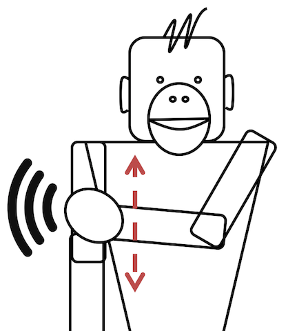 Chimps and Bonobos Use the Same Body Language to Communicate - Seeker