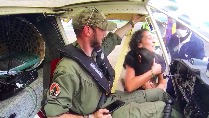 Pilot Flies Rescued Baby Chimpanzee To Primate Sanctuary In Congo - The ...