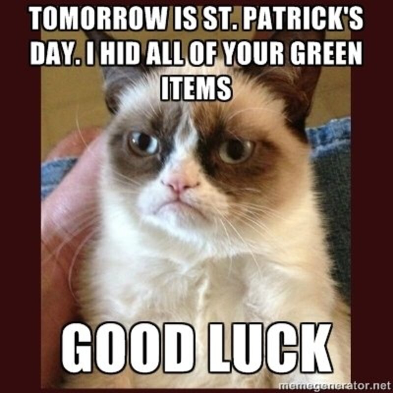 Funniest St. Patrick’s Day Memes on the Internet Right Now - Thrillist