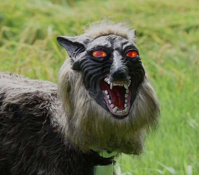 Farmers Replacing Scarecrows With Robotic Super Monster Wolves - Thrillist