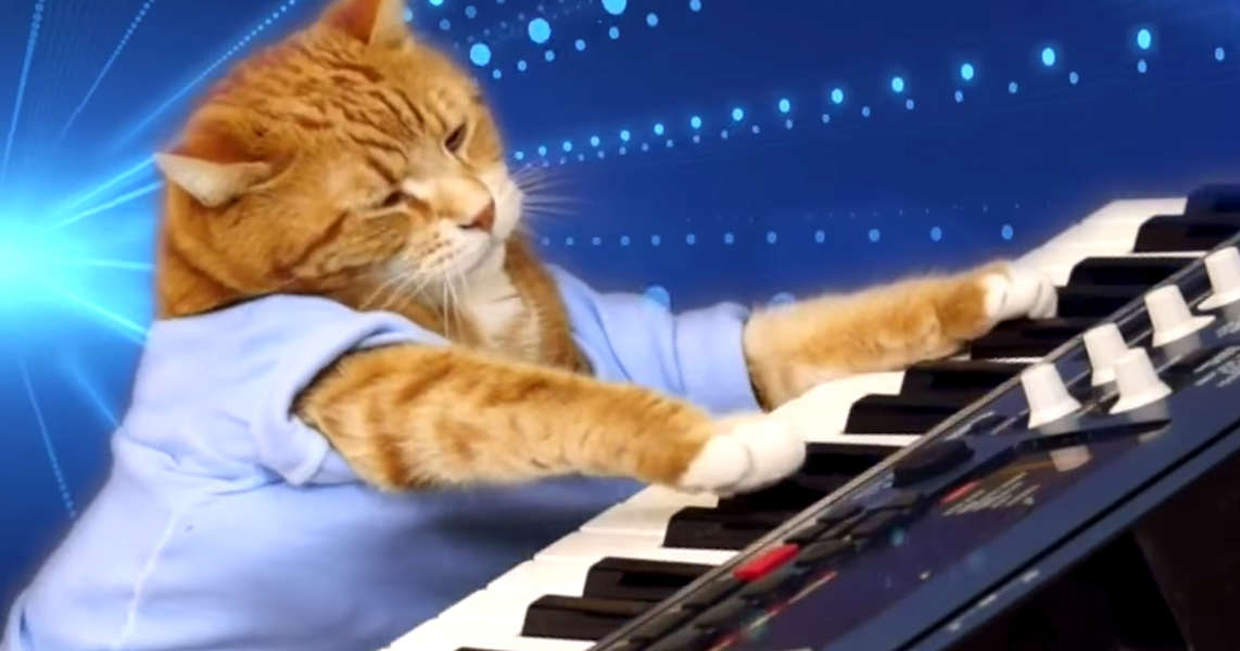 Bento the Keyboard Cat is Dead: A Tribute to the Viral Internet Star ...