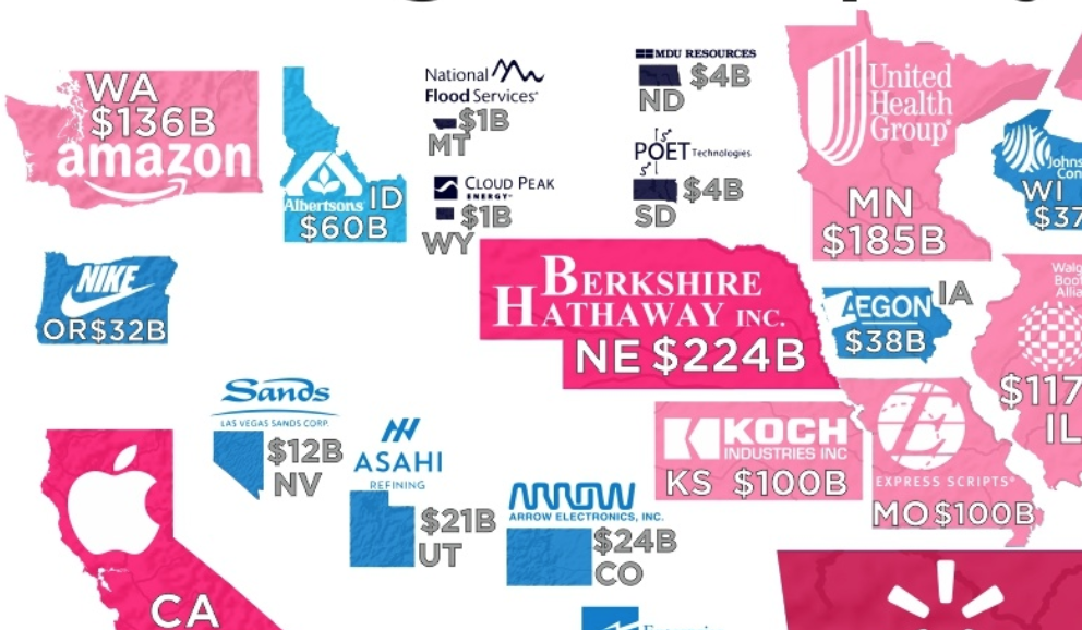 This Map Shows The Largest Company By Revenue For Every