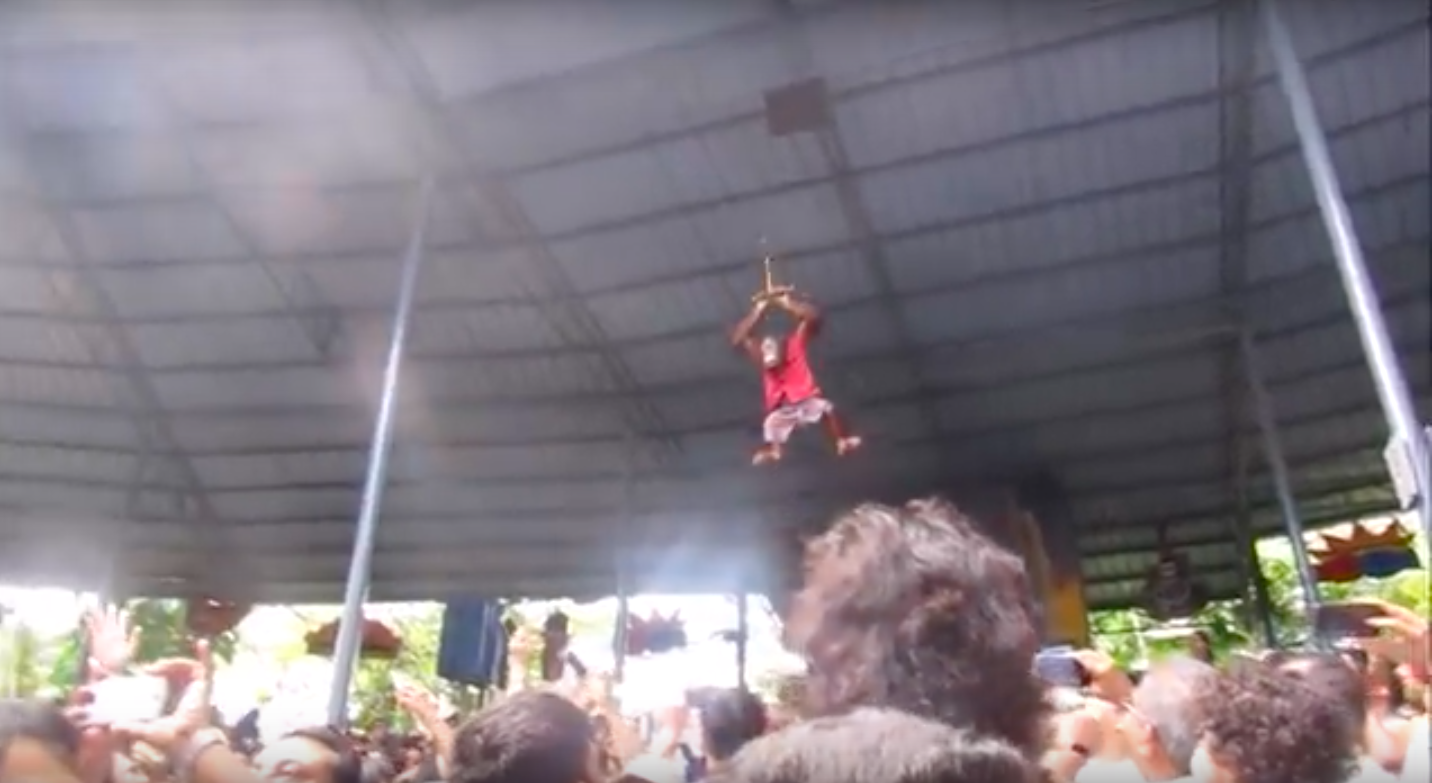 Bangkok Zoo Show Forces Orangutans Into Boxing Ring - The Dodo