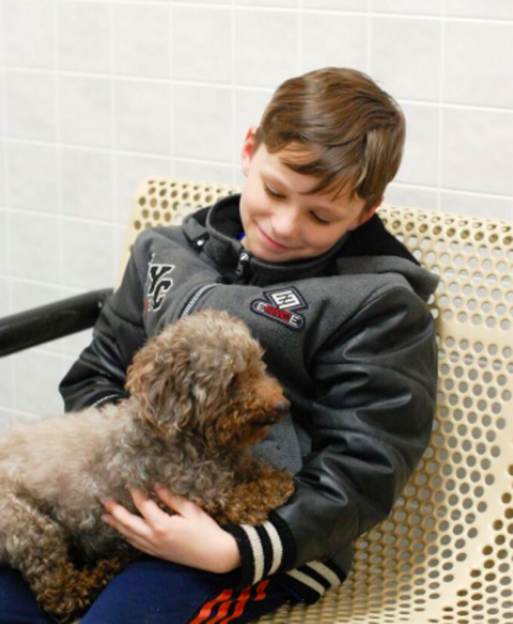 Little Boy Adopts Oldest Dog At Iowa Animal Rescue - The Dodo